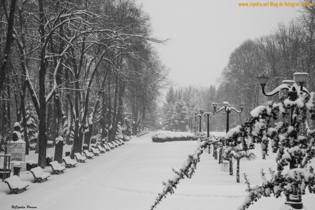 Peisaj de poveste in Parcul Copou din Vaslui! (Foto)