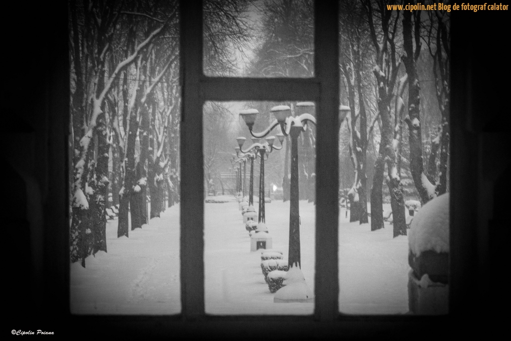 Peisaj de poveste in Parcul Copou din Vaslui! (Foto)