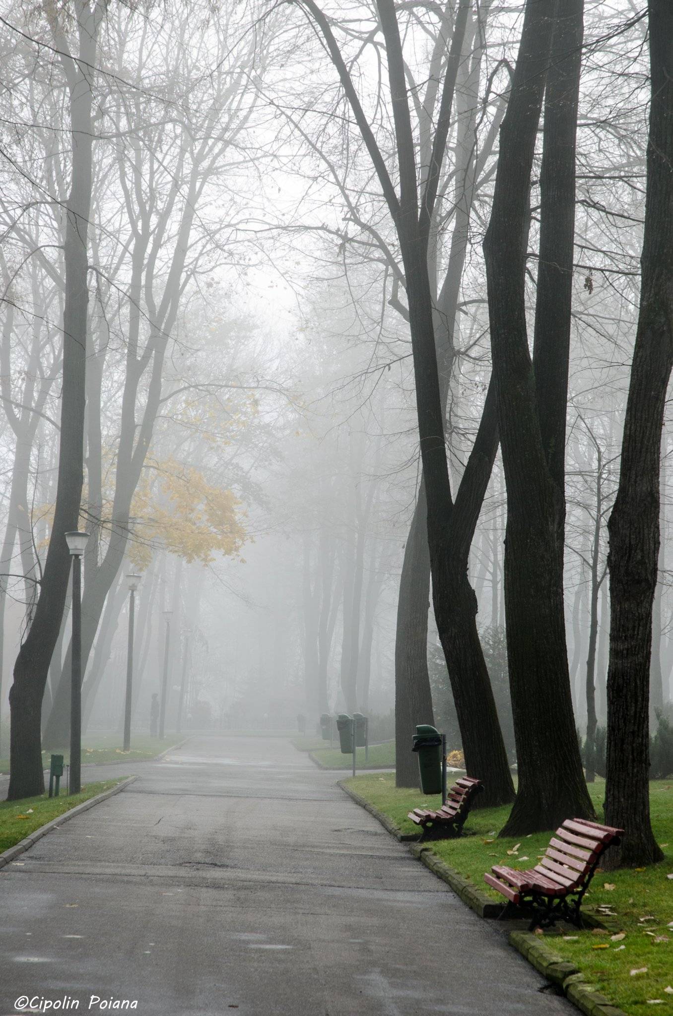 Parcul Copou intr-o dimineață de toamna - Blog de fotograf calator